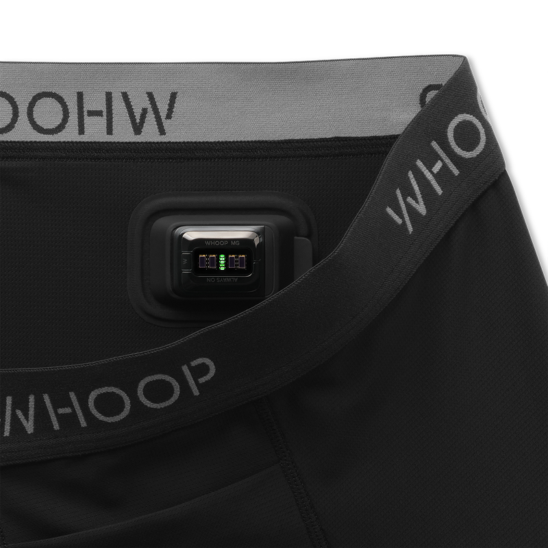 Essential Boxer 4 Pack | WHOOP - The World's Most Powerful Fitness ...