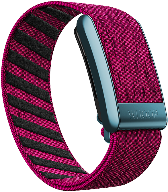 4.0 Bands | WHOOP - The World's Most Powerful Fitness Membership