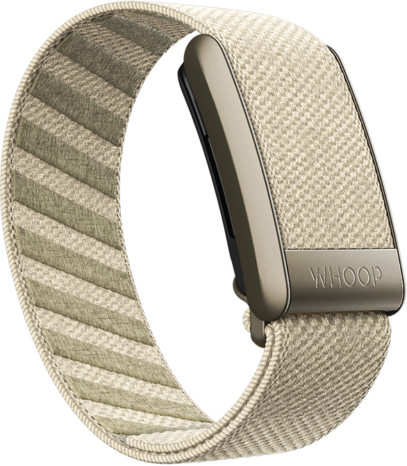4.0 Bands | WHOOP - The World's Most Powerful Fitness Membership