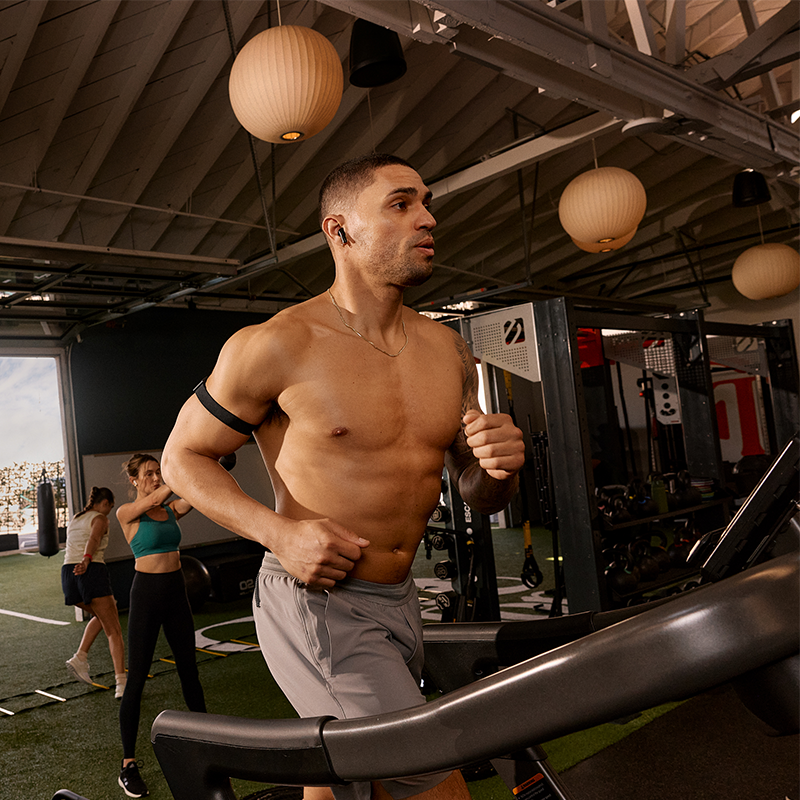 Paquete de coleccionistas de bandas para el bíceps | WHOOP - La ...